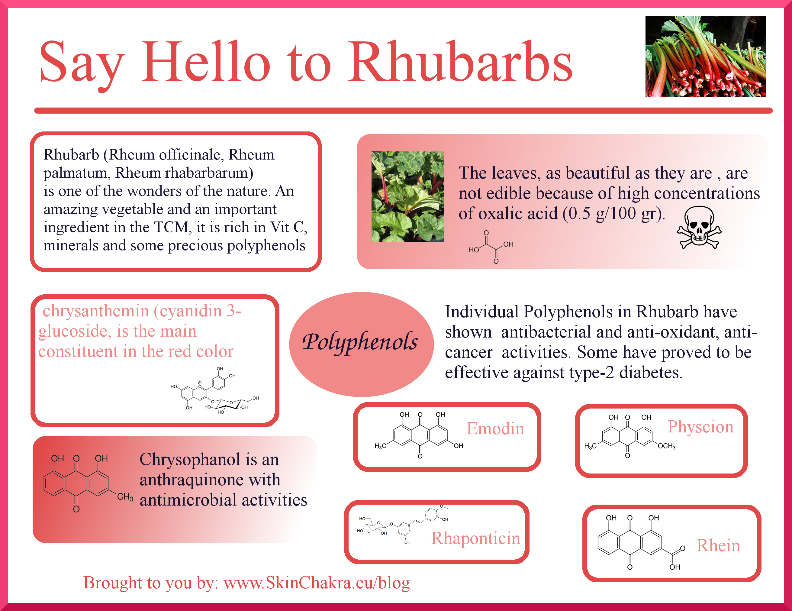 Rhubarb and skin care - Swettis Beauty Blog