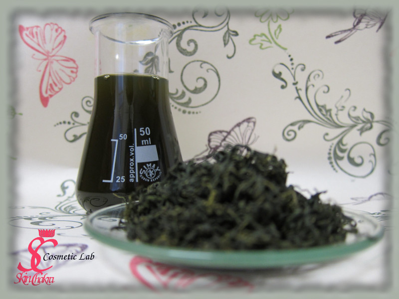 Plant Extracts 101 (Part II): What you need to know before purchasing ...