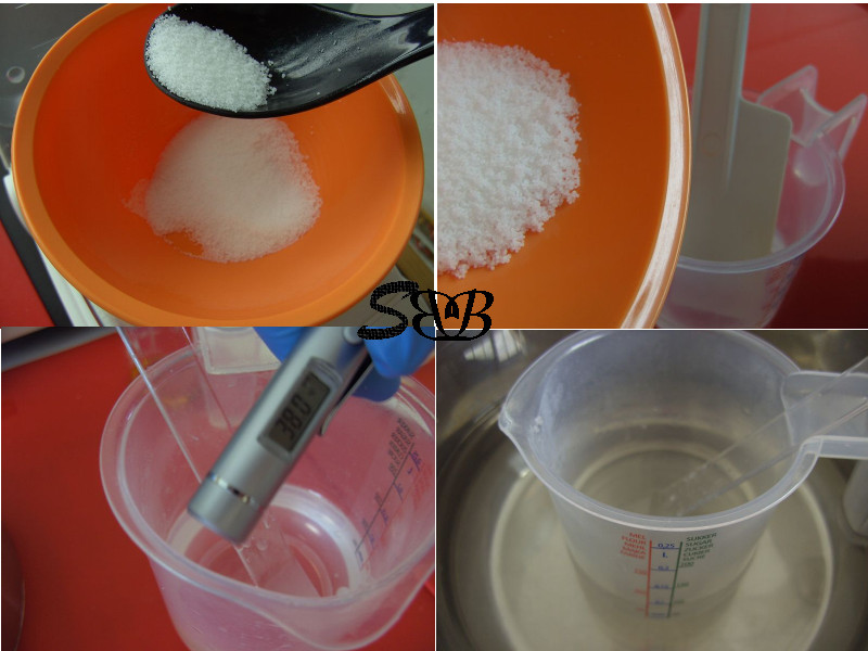 Spirulina soap Tutorial - Swettis Beauty Blog