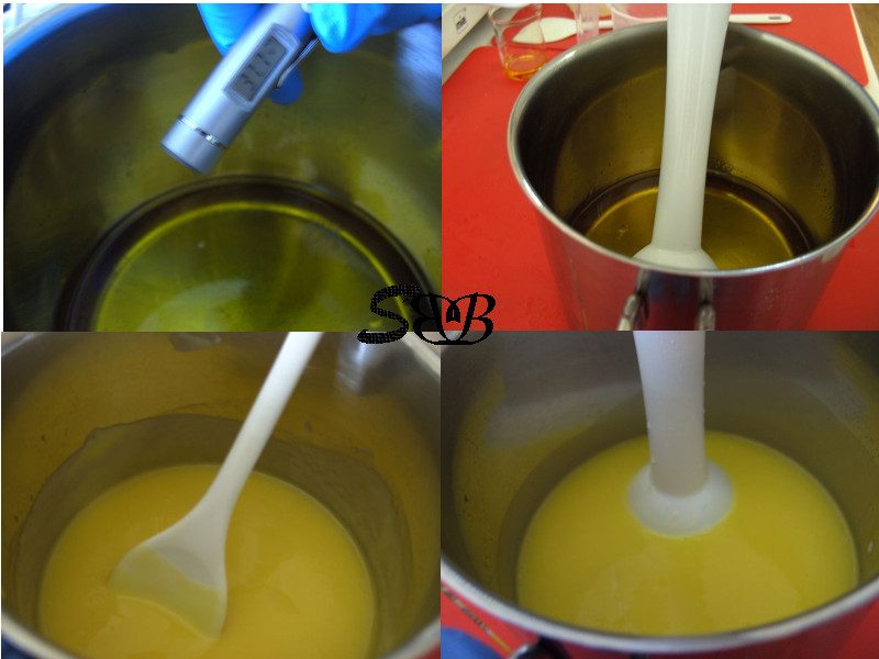 Spirulina soap Tutorial - Swettis Beauty Blog